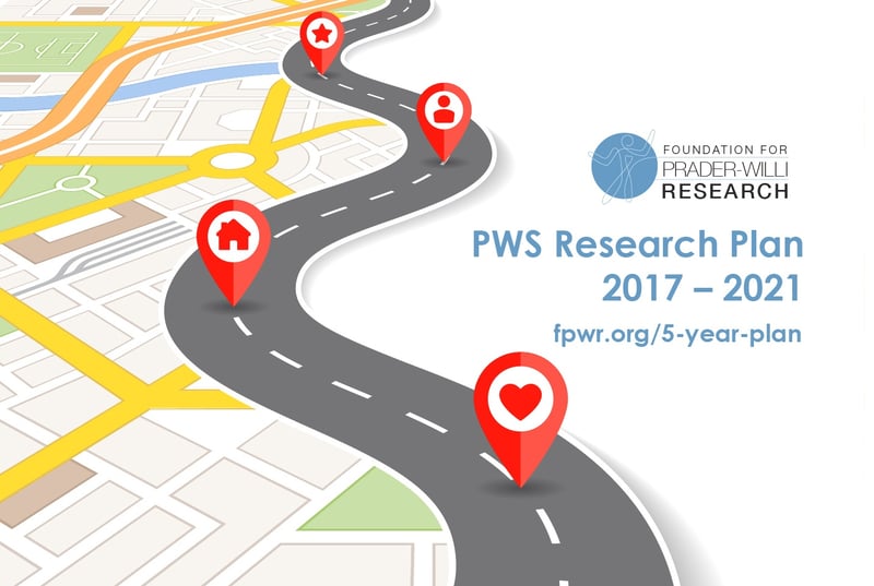Roadmap for the Future: The PWS Research Plan 2017-2021