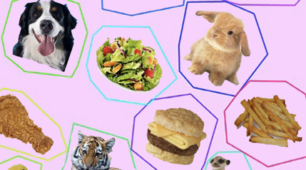 Study Supports Eye Tracking to Measure Hyperphagia in PWS